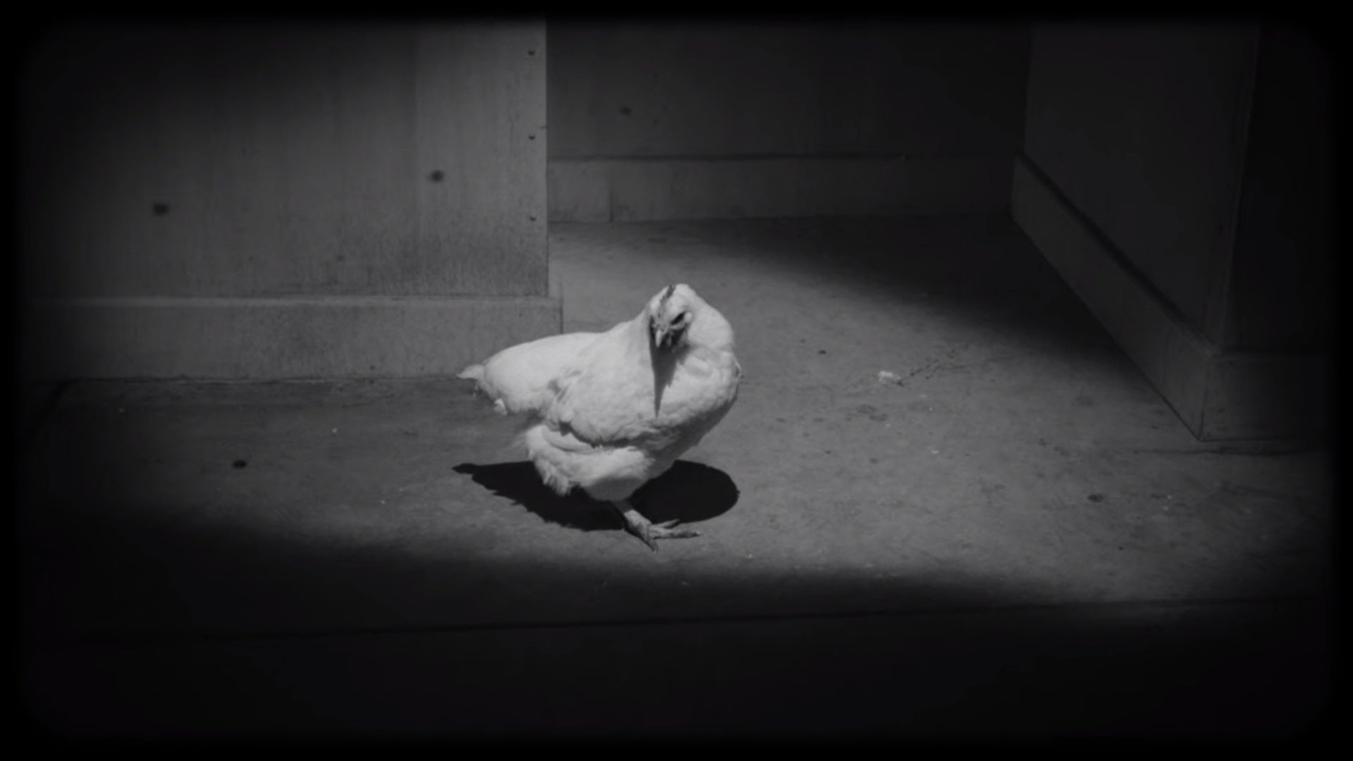 What did Jack do? - Recensione del corto di David Lynch