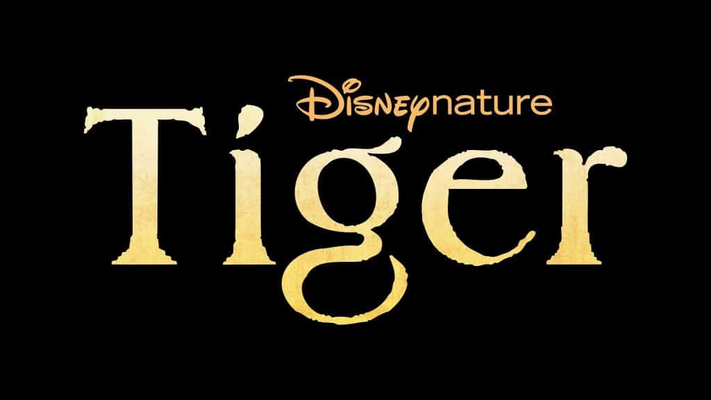 Tiger: torna Disneynature per la giornata dedicata alla Terra